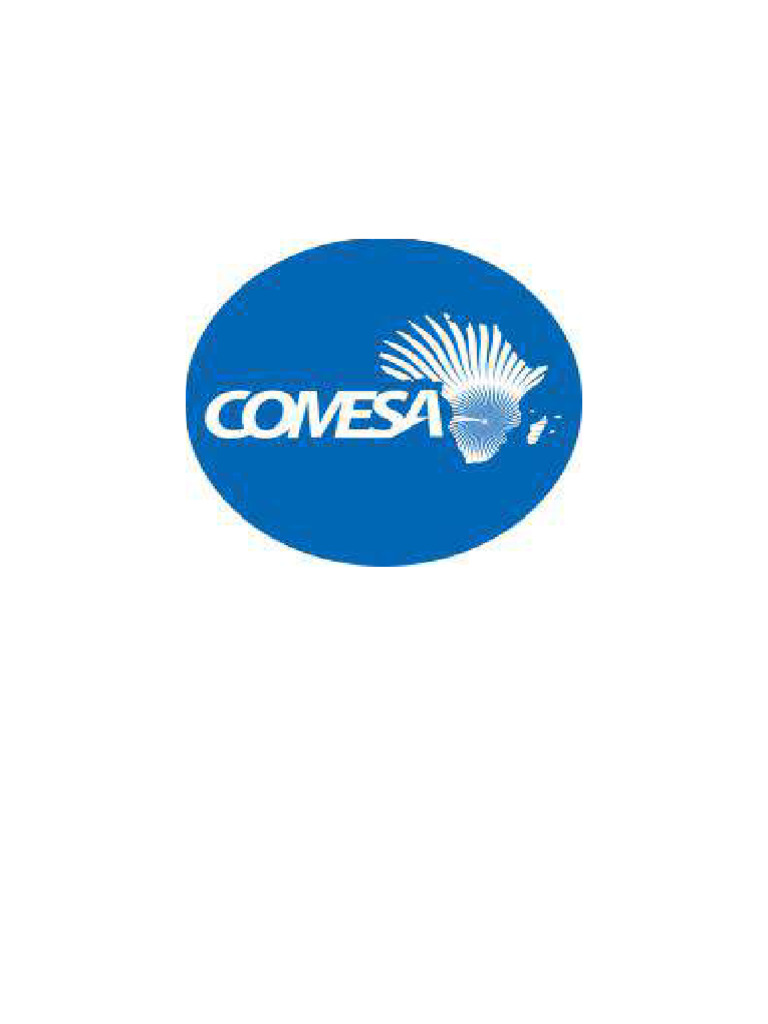Comesa | PDF | Macroprudential Regulation | Vix