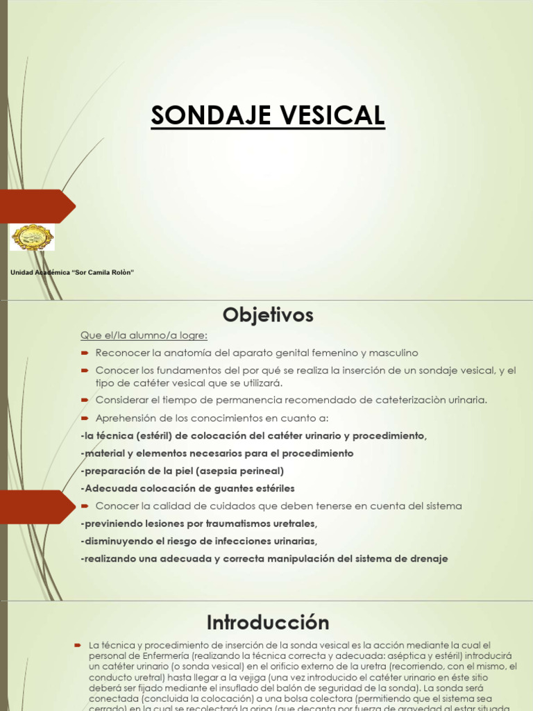 Guía de Sondaje Vesical en Enfermería | PDF | Riñón | Labios