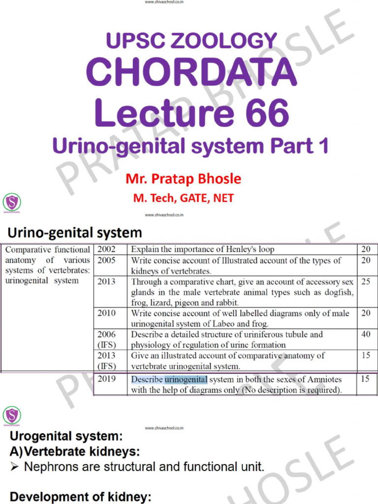 L66 Urino-Genital System Part 1 | PDF