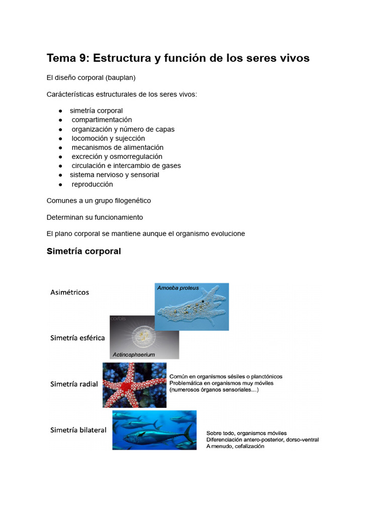 Tema 9 - Estructura y Función de Los Seres Vivos | PDF | Digestión ...
