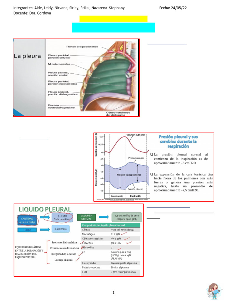 Derrame Pleural: Causas y Dinámica | PDF | Sistema linfático | Tórax