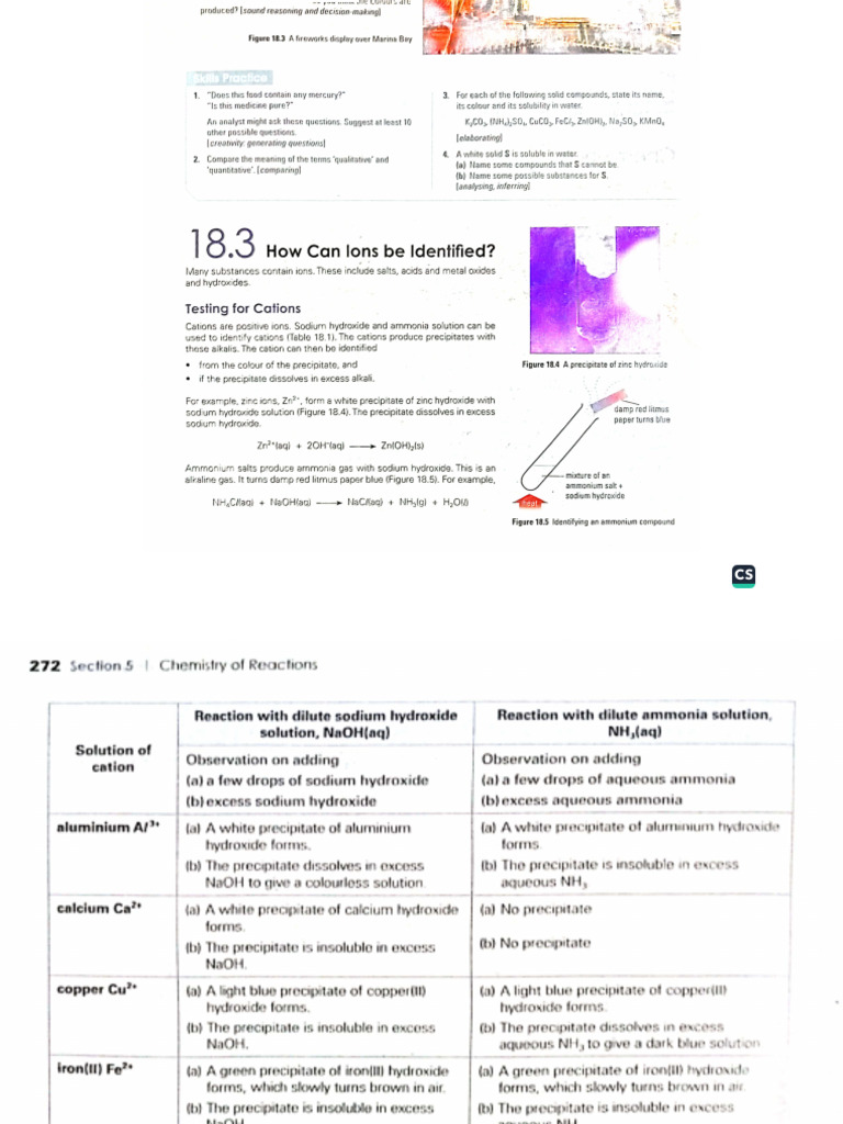 Tests For Cations and Anions | PDF