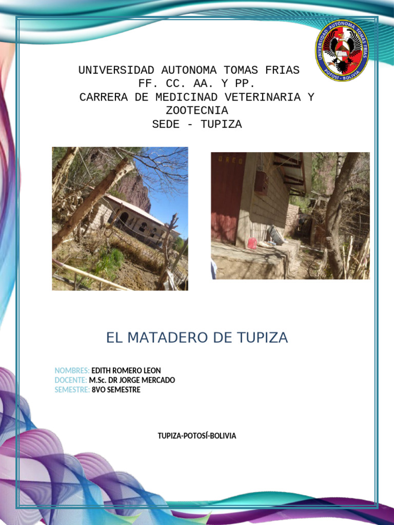 Funcionamiento del Matadero de Tupiza | PDF | Matadero | Agua