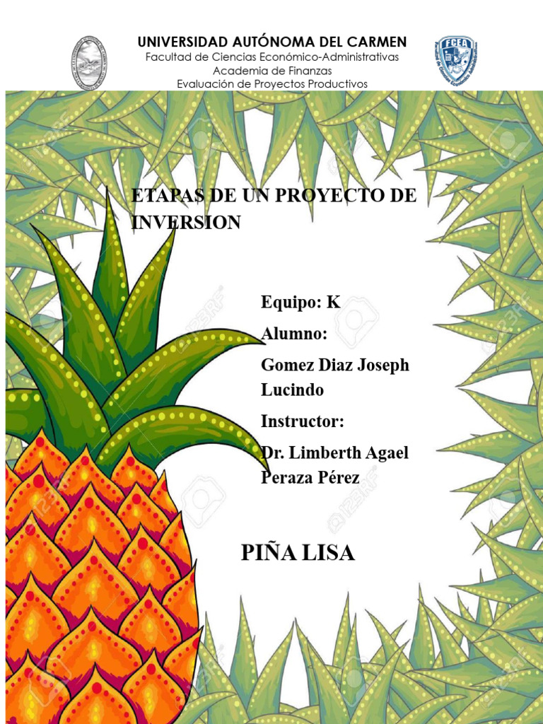 Tarea - 5. Etapas de Un Proyecto de Inversión (Cuadro Comparativo ...