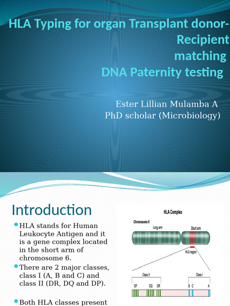 HLA Typing For Organ Transplant Donor-Recipient 2 | PDF | Human ...
