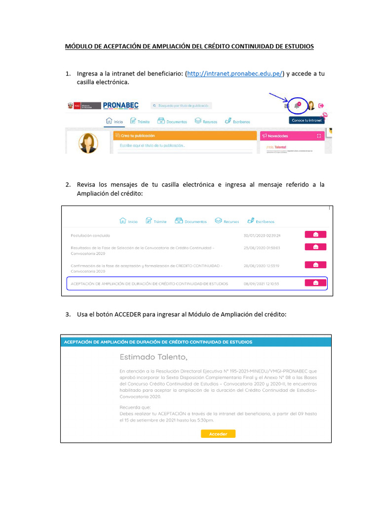 GUÍA - Módulo Aceptación Ampliación CCE | PDF | Informática
