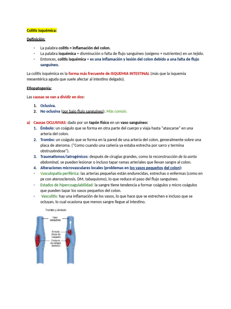 COLITIS | PDF | Intestino grueso | Isquemia