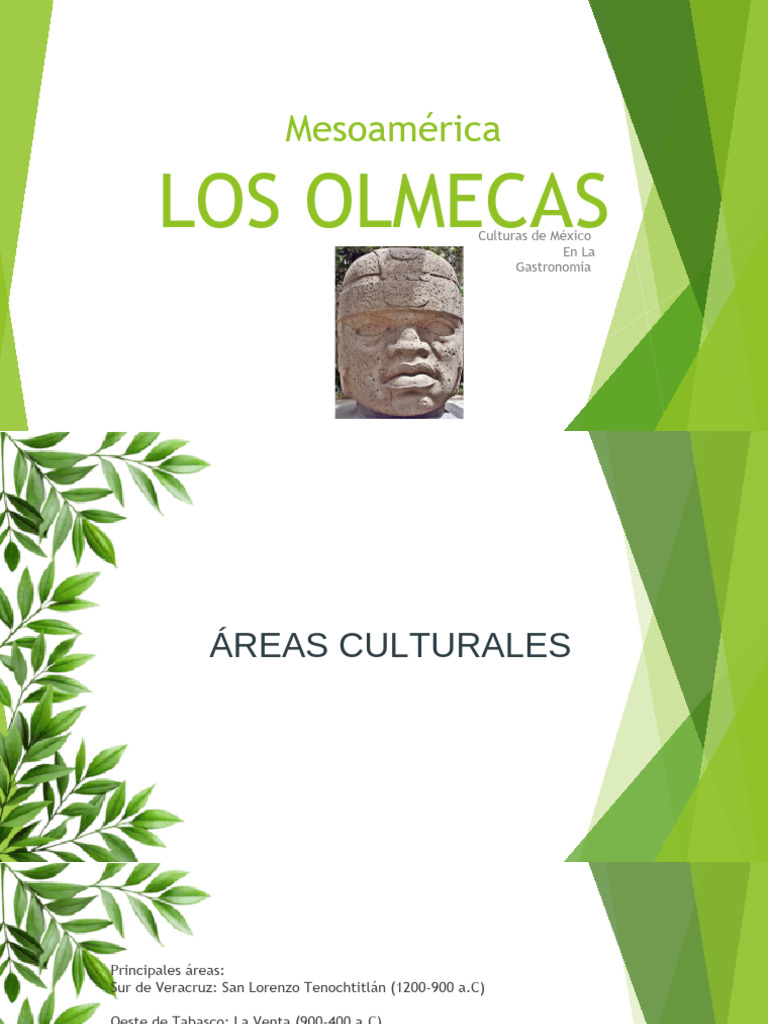 LOS OLMECAS - PPTX - 20250908 - 074022 - 0000 | PDF | Maíz | Frijol