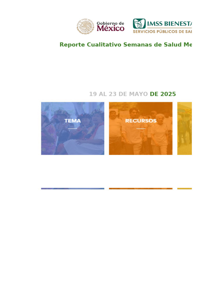 Formato Act Cualitativas | PDF | Salud mental