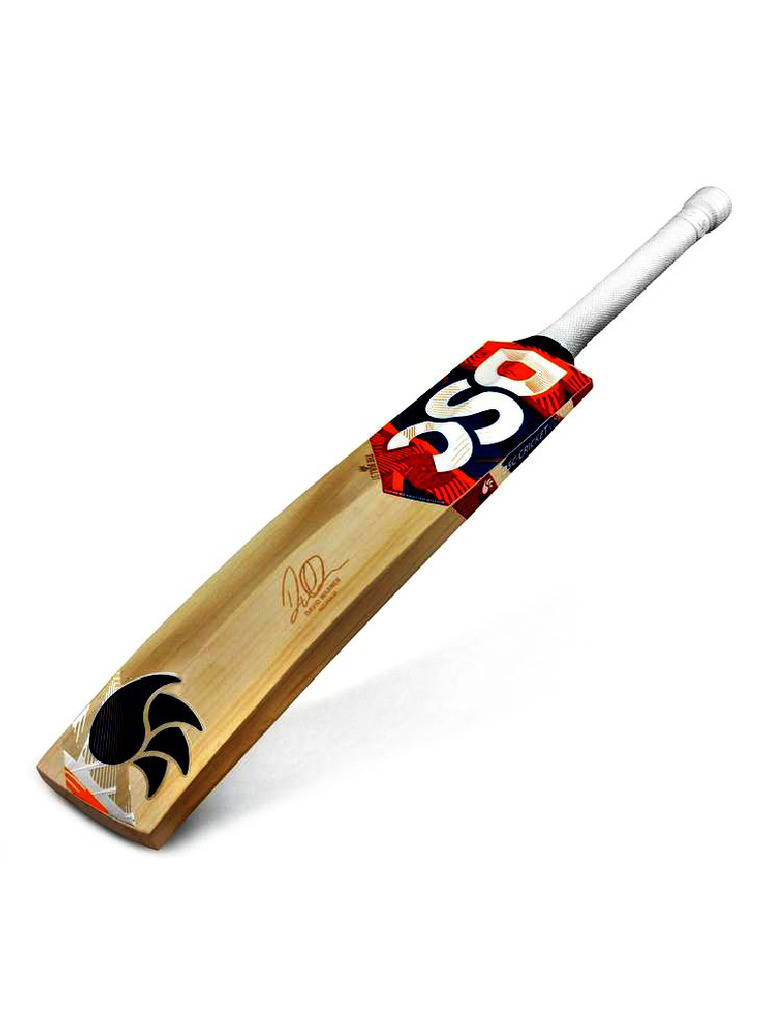 DSC Bats | PDF