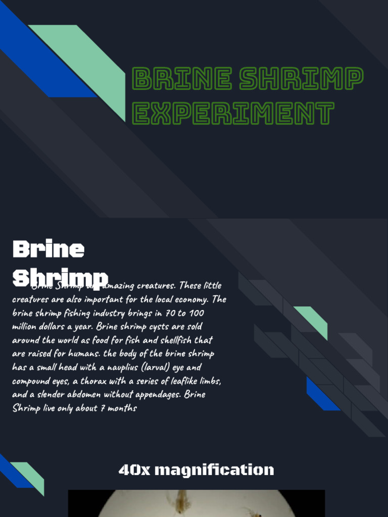 Brineshrimp Manaswini, Saurish | PDF