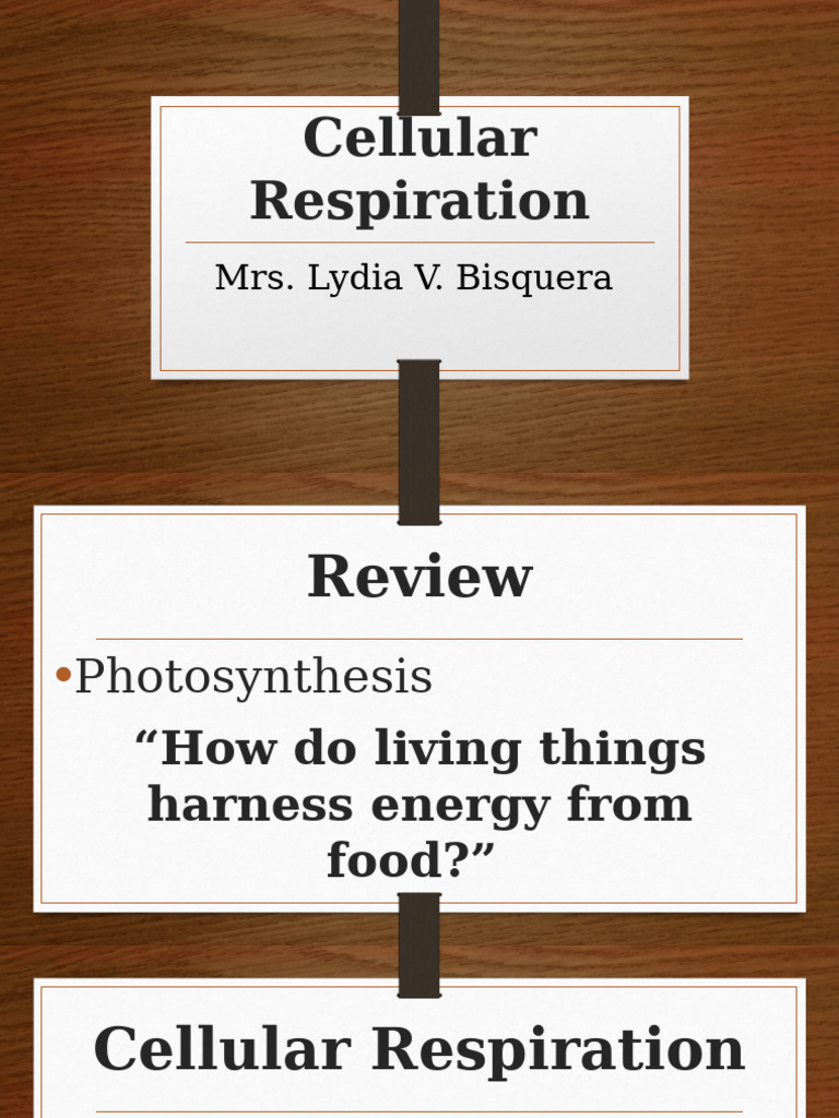 Cellular Respiration | PDF | Cellular Respiration | Citric Acid Cycle