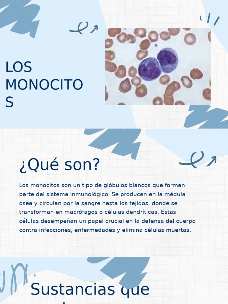 Los Monocitos | PDF | Sistema inmune | Inflamación
