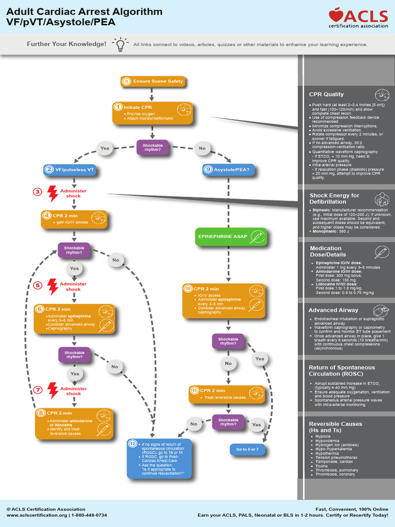 ACLS Adult Cardiac Arrest Algorithm | PDF | Cardiopulmonary ...