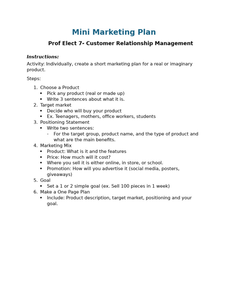 Mini Marketing Plan Template Guide | PDF