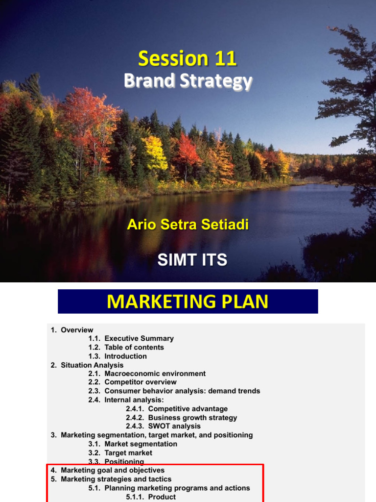 Brand Strategy and Marketing Plan Overview | PDF | Marketing | Brand