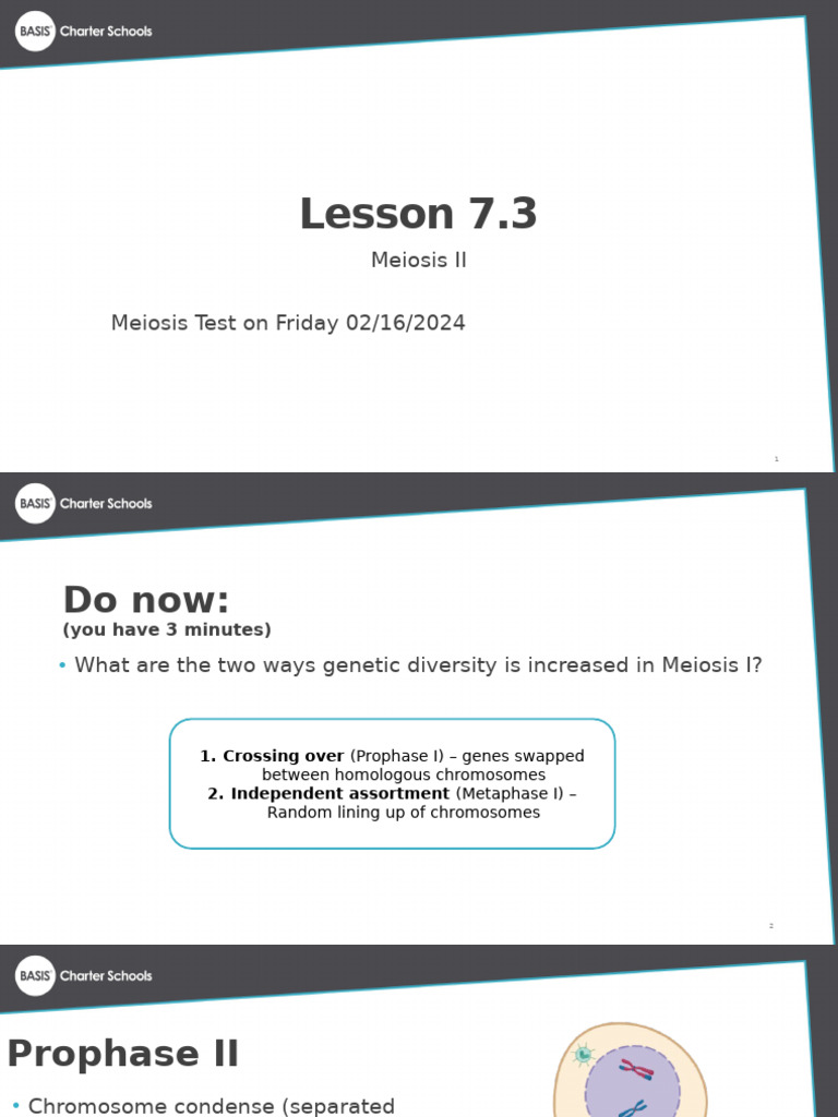 Biology Unit 7 - Meiosis II | PDF