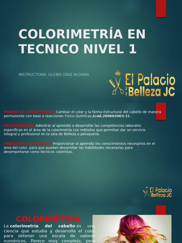 Guía de Colorimetría para Técnicos | PDF | Color | Pelo