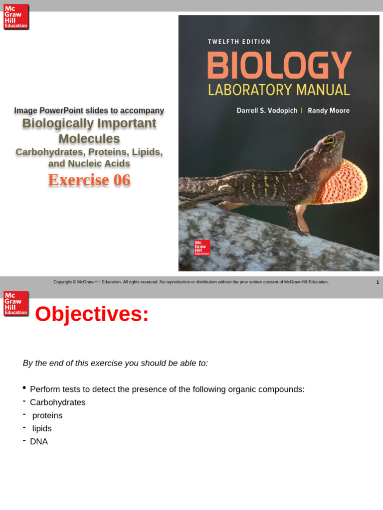 Biologically Important Molecules - Bio201 | PDF | Nucleotides ...