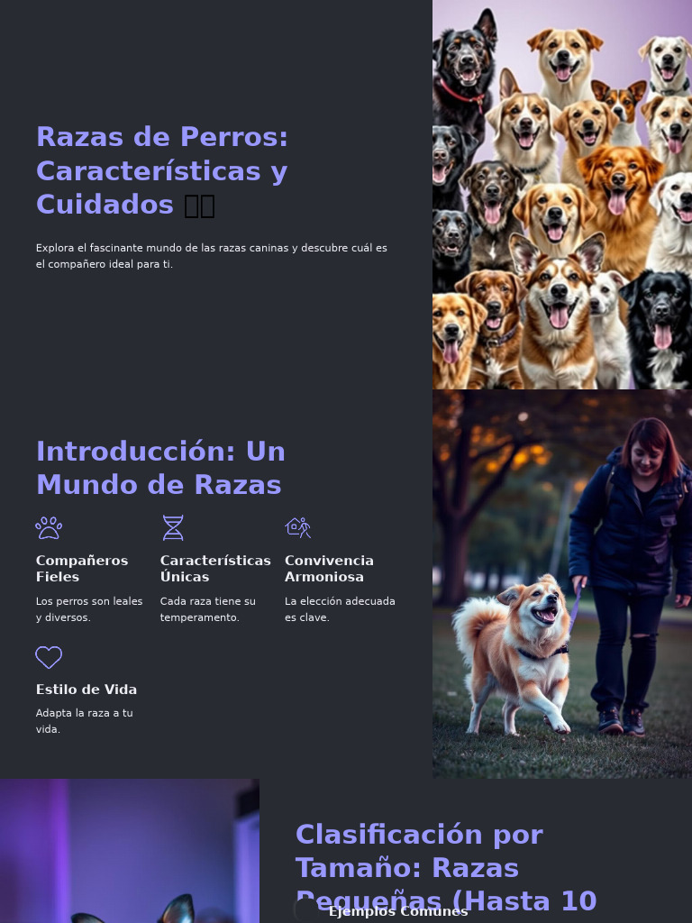 Razas de Perros Caracteristicas y Cuidados | PDF | Perros | Perdiguero