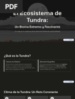 Tundra Alpina en México: Características y Ubicación | PDF | Ecosistema ...