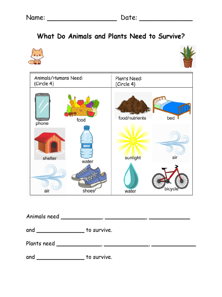 Survival Needs of Animals and Plants | PDF