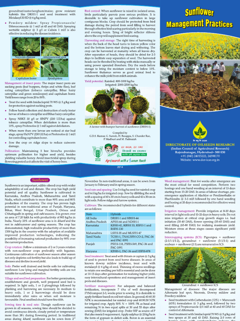 Sun Eng | PDF
