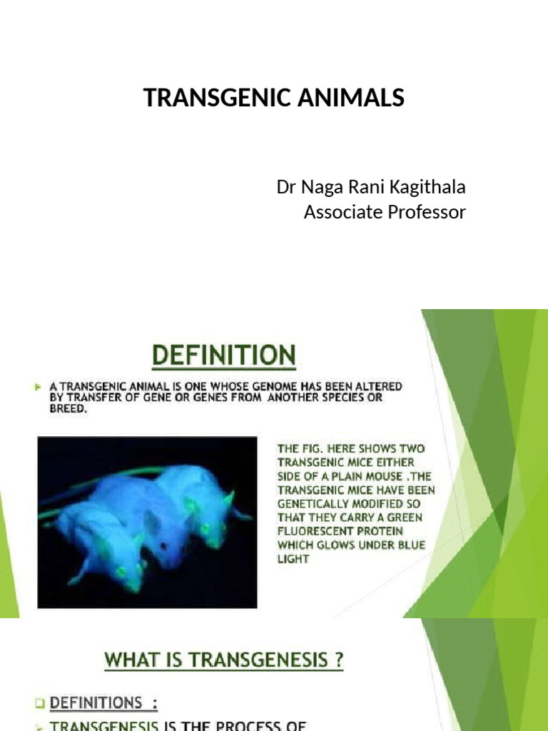 Transgenic Animals | PDF