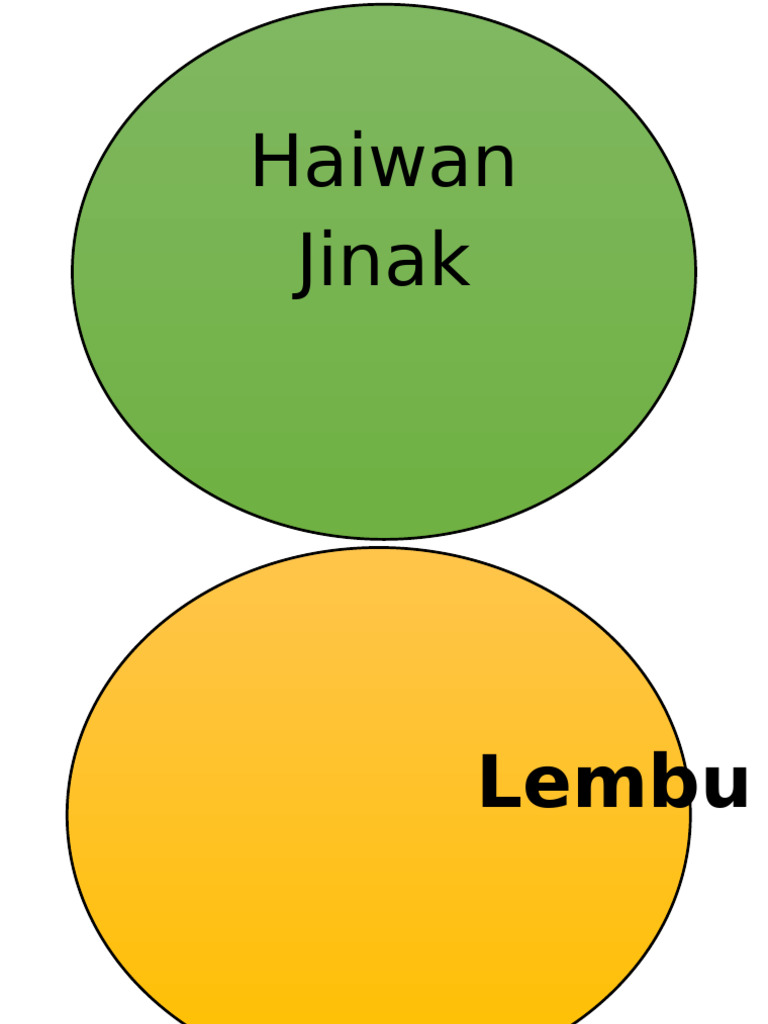Bubble Map Pra | PDF