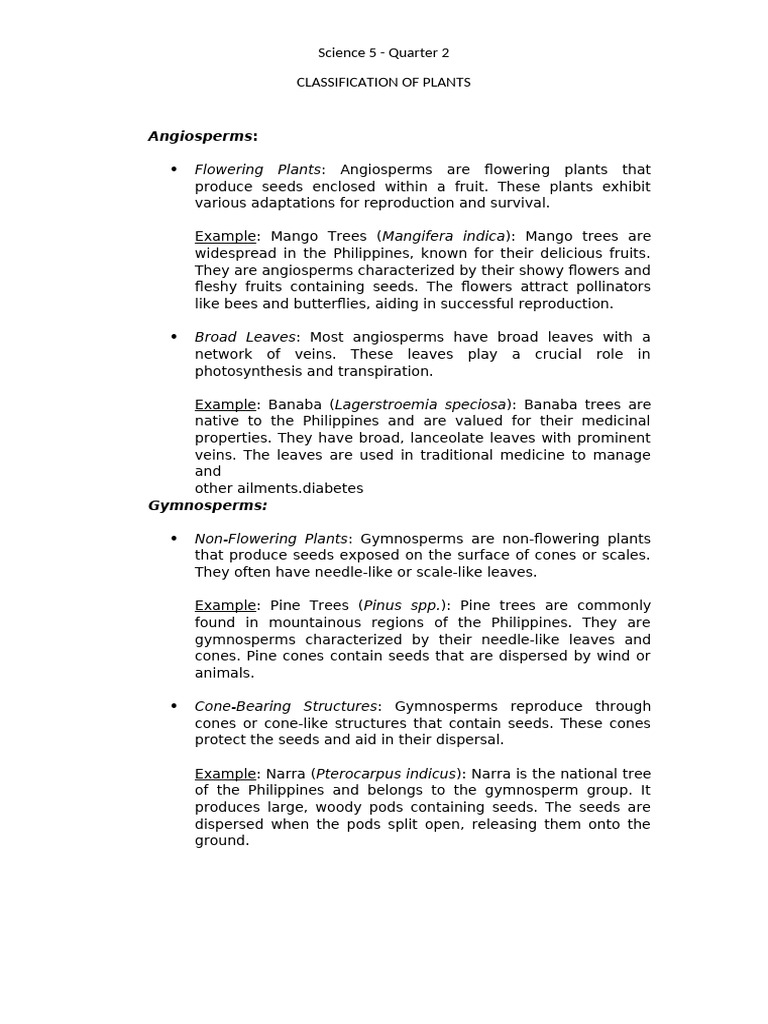 Activity Sheet - Classification of Plants | PDF | Plants | Trees