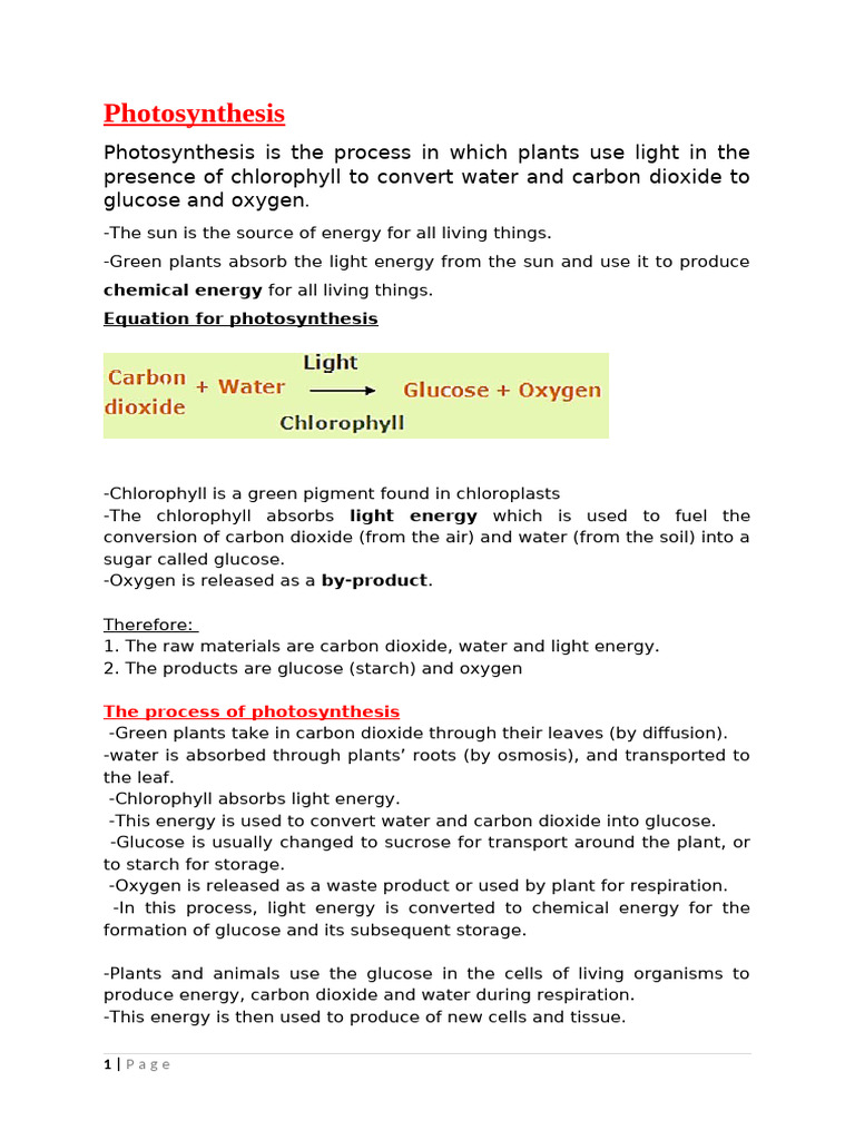Photosynthesis Notes | PDF | Photosynthesis | Leaf