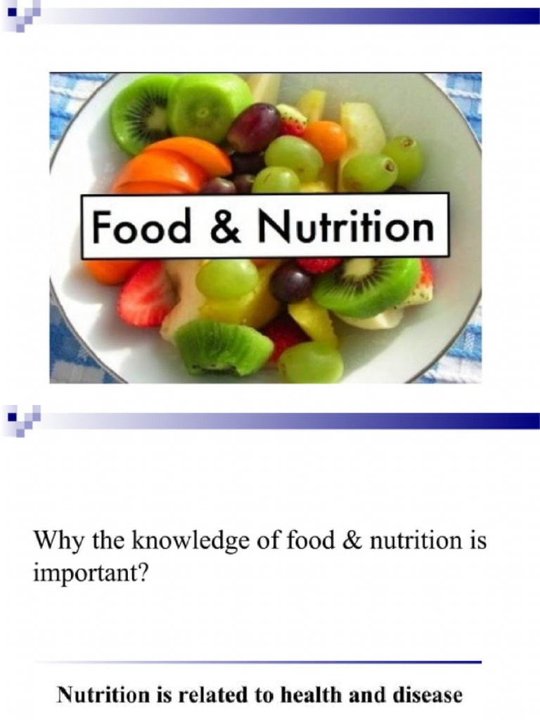 10 - Major Food Groups | PDF