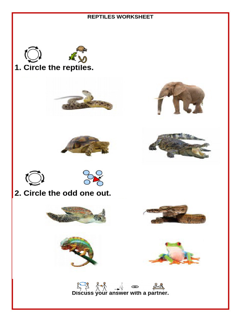 Reptiles Worksheet | PDF