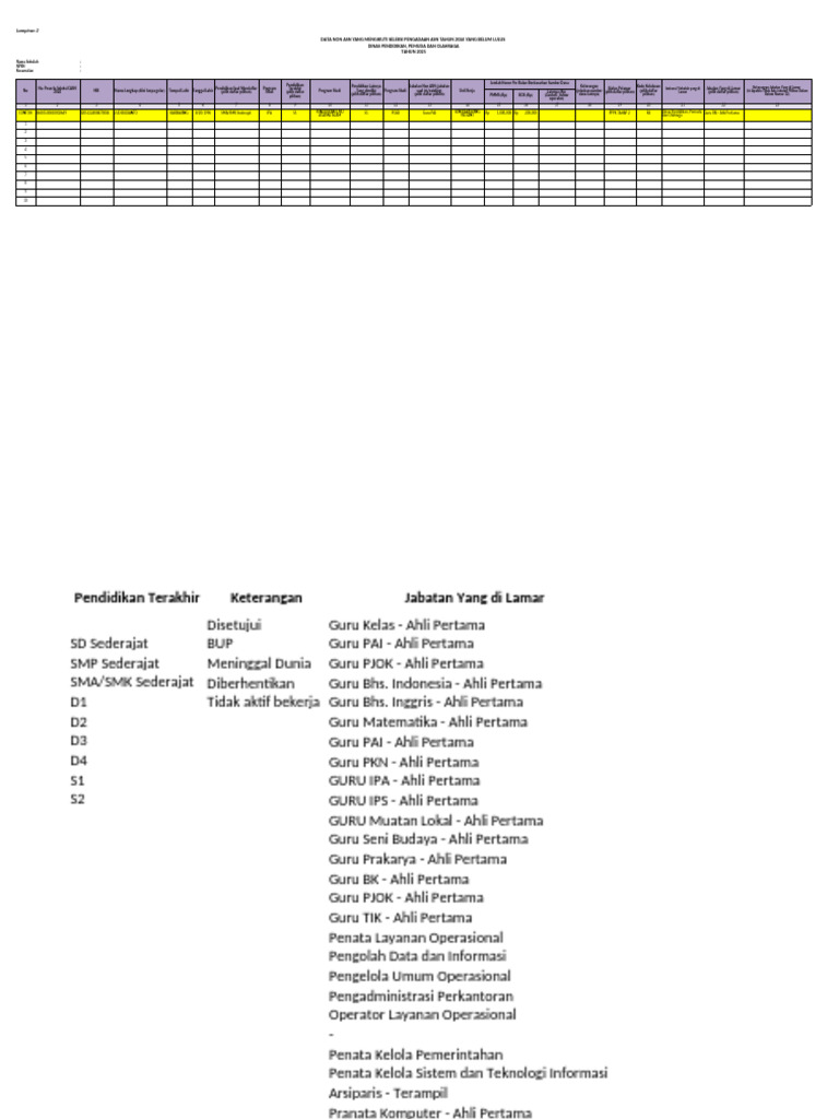 Format Data Non ASN Seleksi 2024 Yang Tidak Lulus | PDF