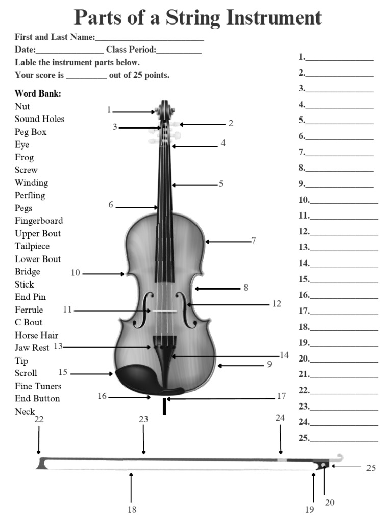 Violin Parts Vocabulary Guide | PDF | Necked Lutes | Music Technology