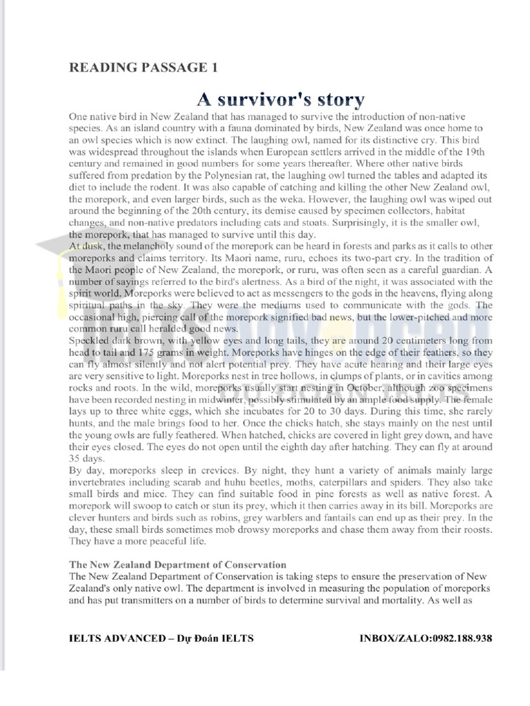 IELTS Reading - A Survivor's Story | PDF