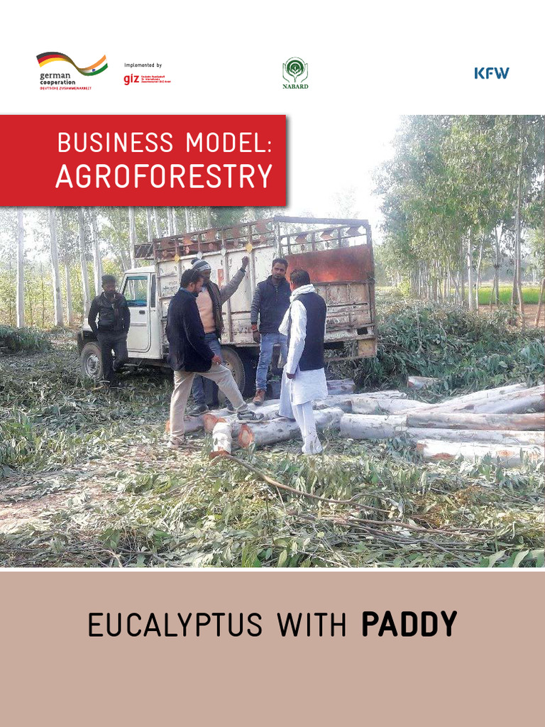 2agroforestry (Eucalyptus With Paddy) Business Model | PDF ...