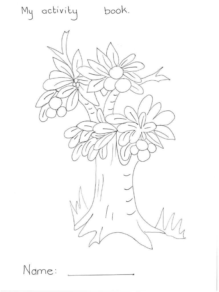 Lsen Activity Book | PDF