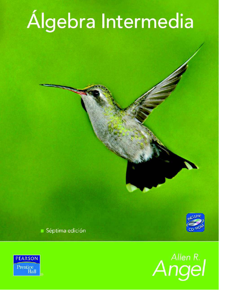 Algebra Angel Cap1 | PDF