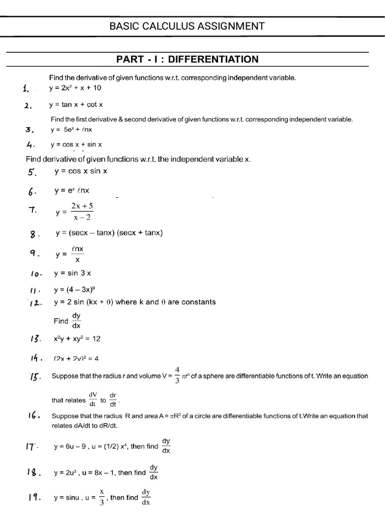 Basic Calculus Assignment | PDF