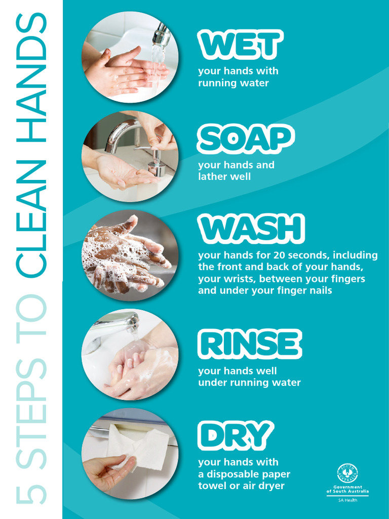 5 Steps to Proper Hand Washing | PDF
