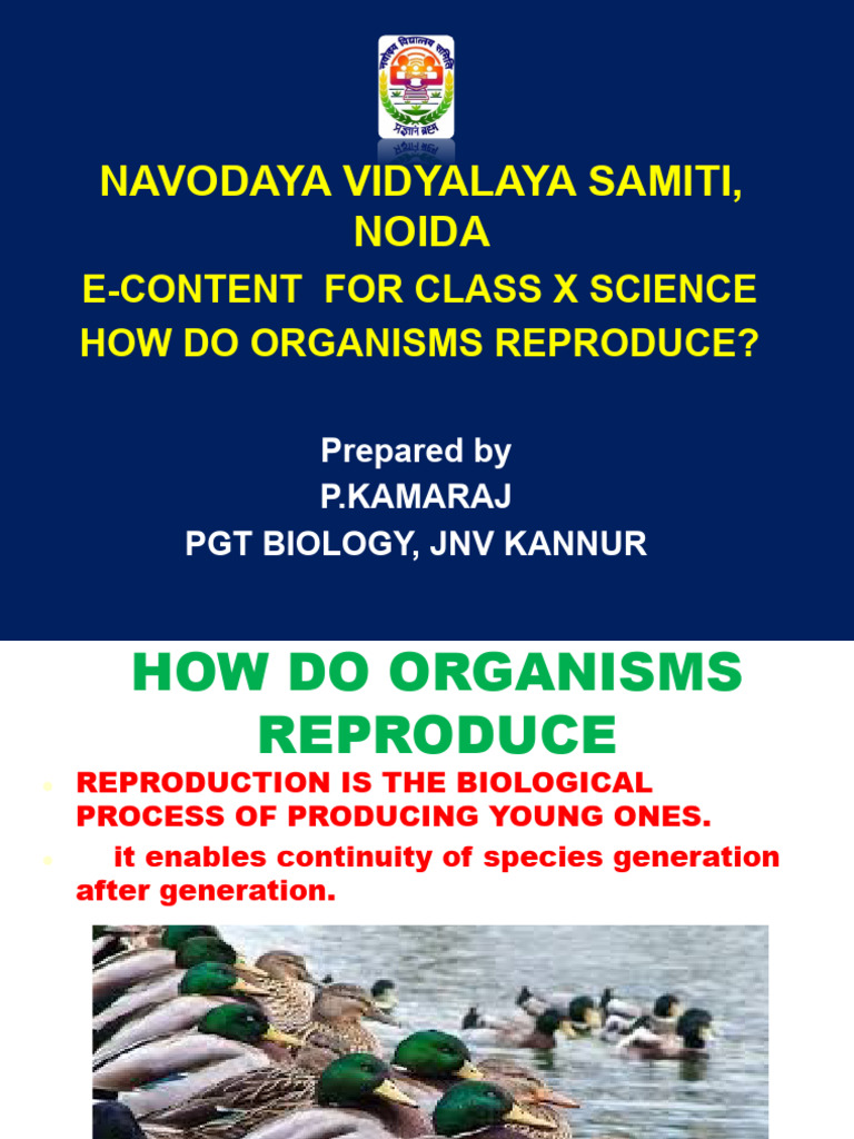 Ch-7 How Do Organism Reproduce (School) | PDF | Flowers | Reproduction