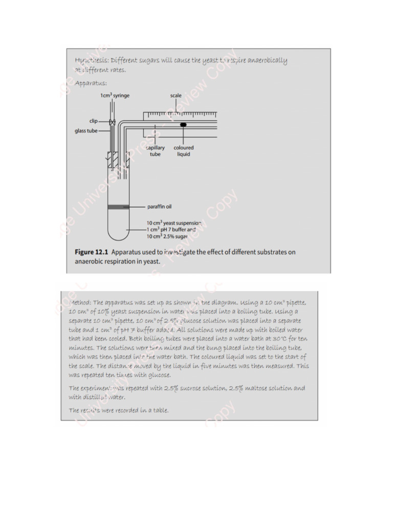 Anaerobic Respiration Using The Respirometer | PDF