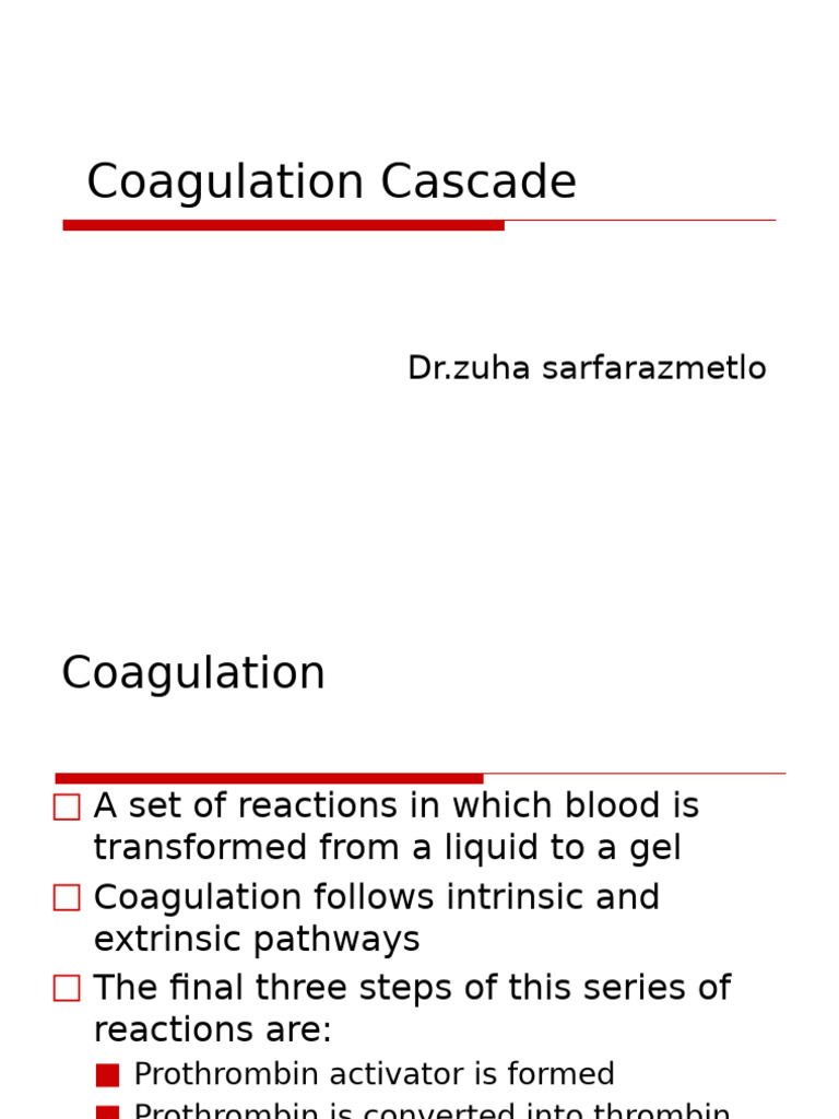 Understanding the Coagulation Cascade | PDF | Coagulation | Blood