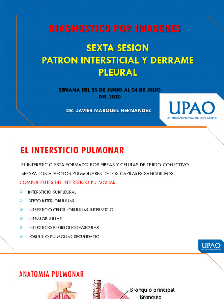 Clase 6 Patron Intersticial y Derrame Pleural Semana 6 | PDF | Pulmón ...
