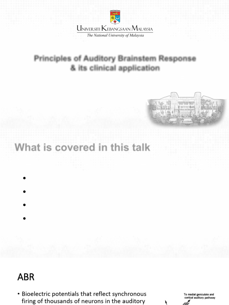 Auditory Brainstem Response Principles | PDF | Hearing | Neuroscience
