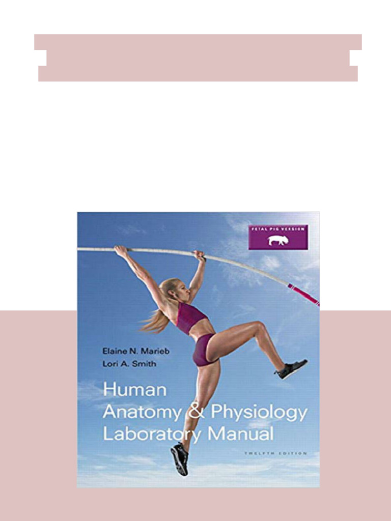 Solution Manual For Human Anatomy and Physiology Laboratory Manual ...
