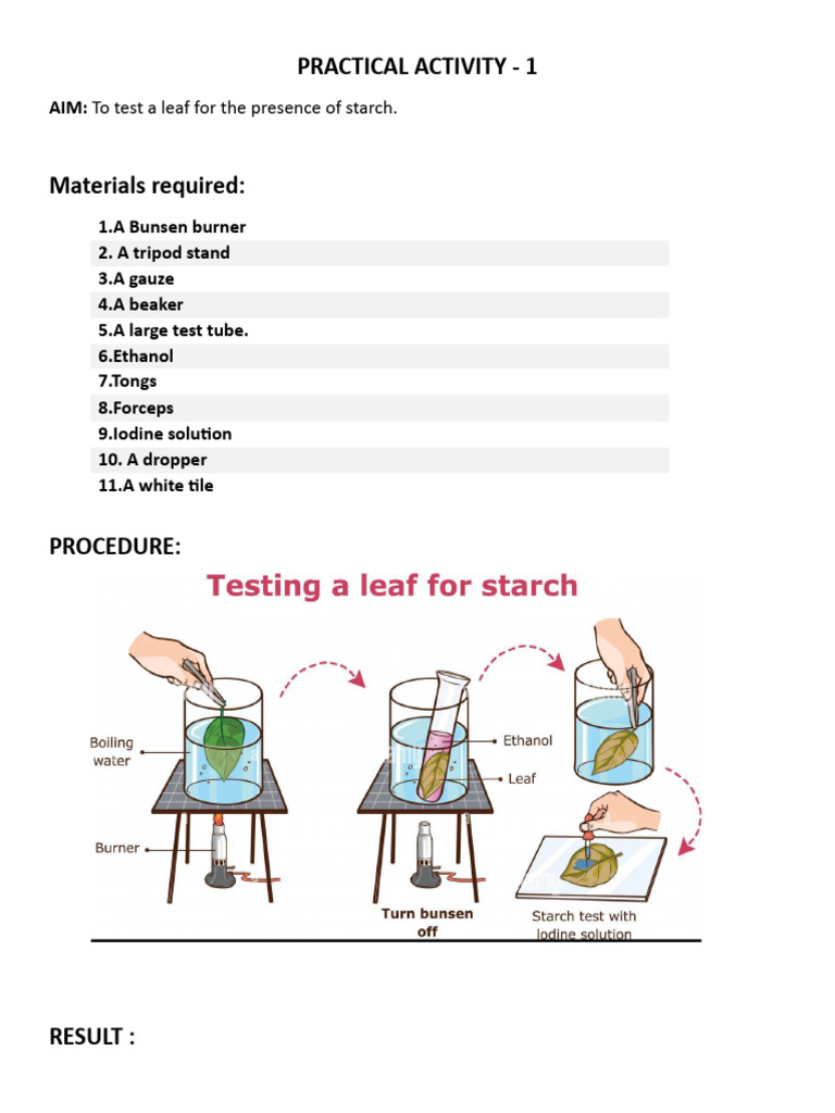 Practical Activities | PDF
