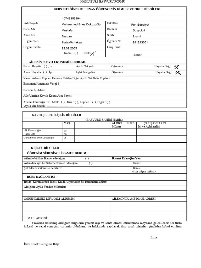 Burs | PDF