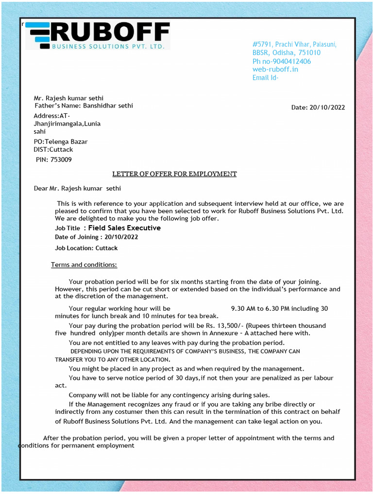 Employment Offer for Field Sales Executive | PDF | Business